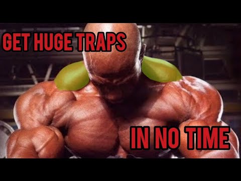 GROW YOUR TRAPEZIUS MUSCLES EFFECTIVELY AND ACHIEVE A CHISELED UPPER ...