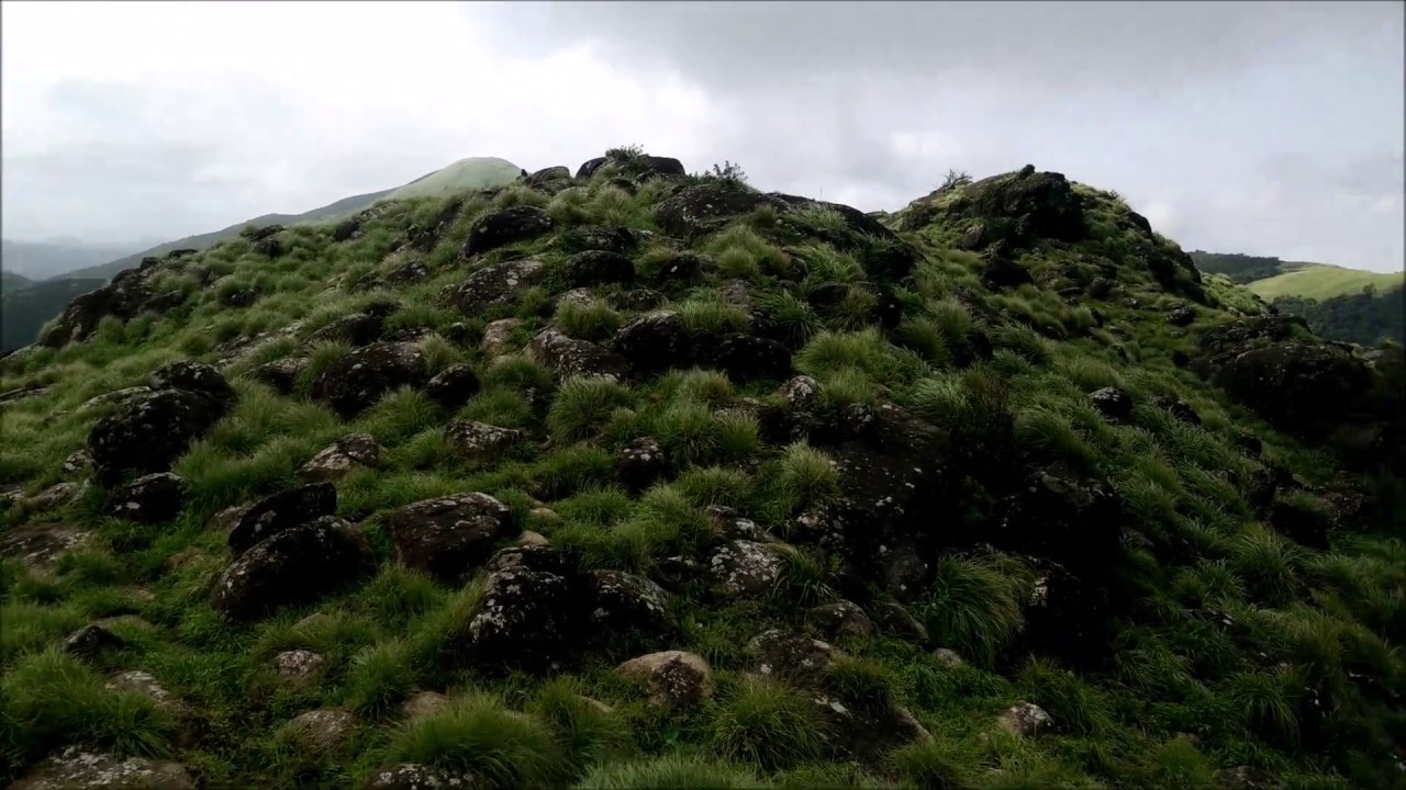 Monsoon Delight at Vagamon - Waterfall Trek & Camping - YouTube