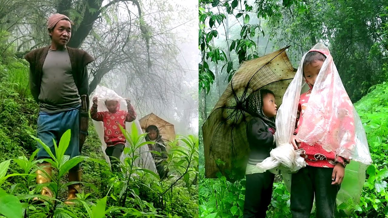 Life With Nature || video - 140 || Grazing goats in the jungle || - YouTube