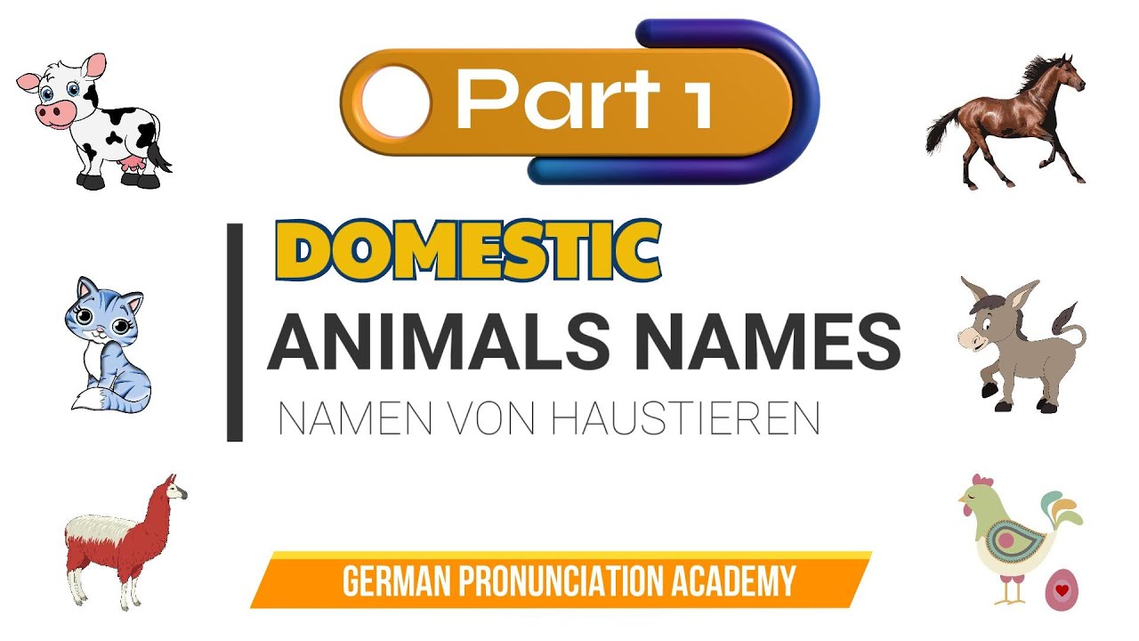 15 Domestic Animal Names | Learn German Pronunciation | For Beginners ...