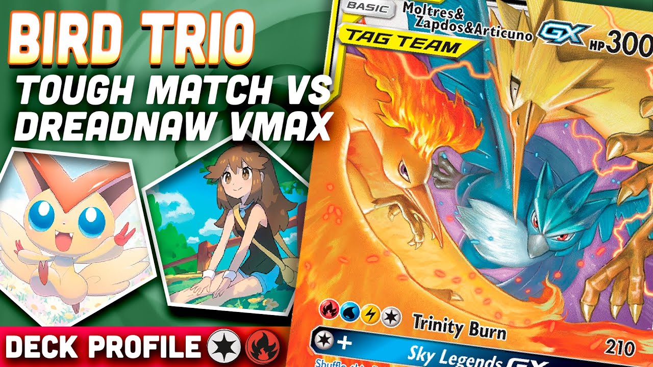 BIRD TRIO DECK takes on NEW DREADNAW VMAX in a very intense match ...