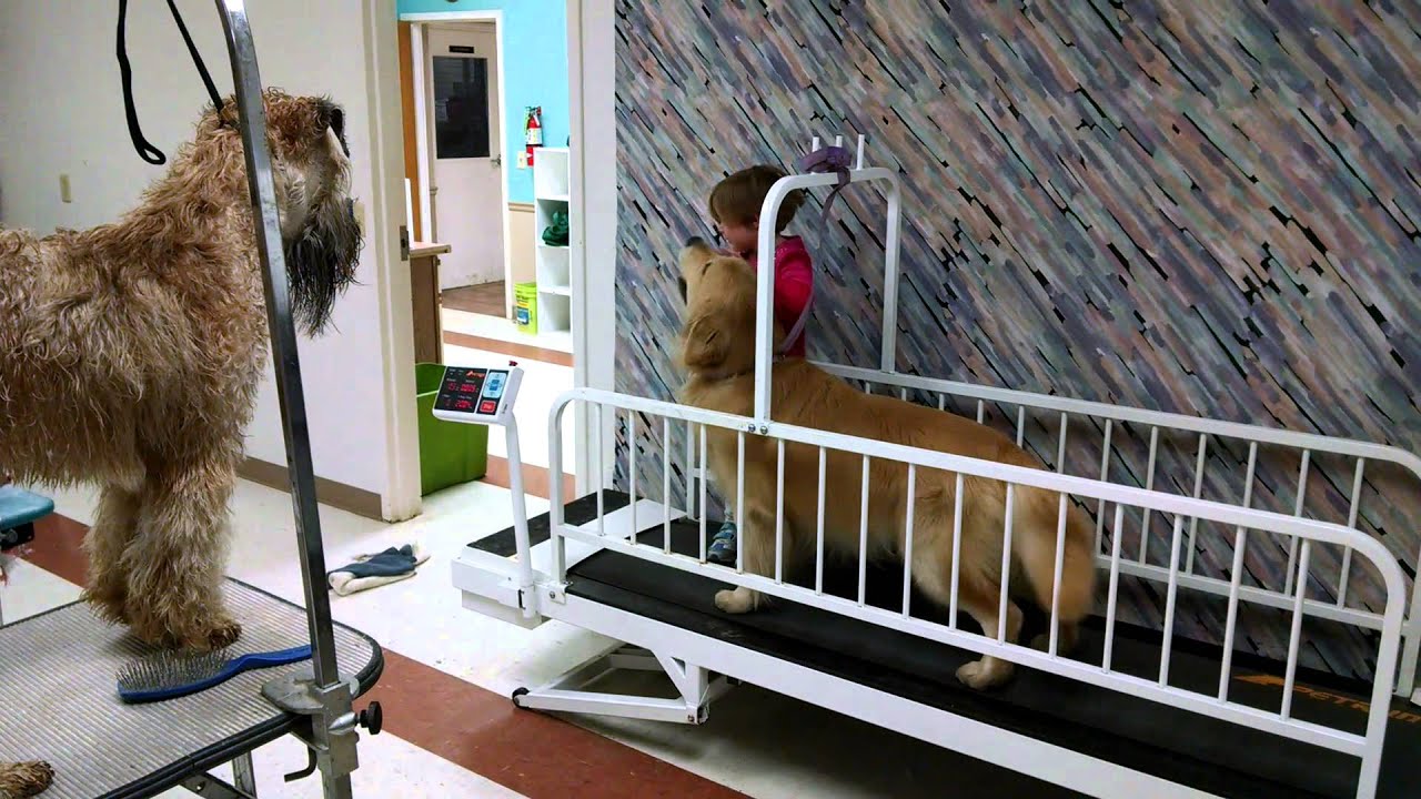 Arnie's first run - YouTube
