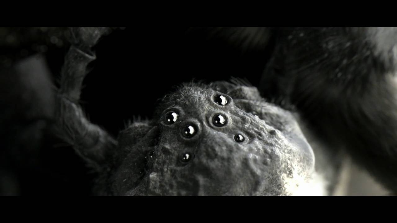 Loom - Animated Cartoon for Kids - YouTube