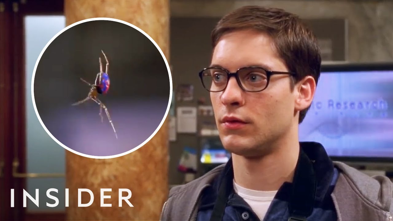 How Bugs Are Trained For TV And Movies | Movies Insider - YouTube