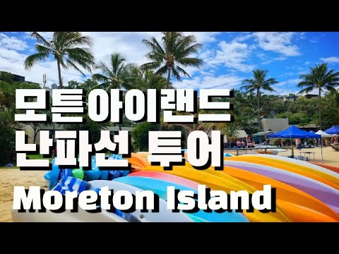 호주인기휴양지 |모튼아일랜드 |난파선 투어 |열대어 | #Queensland #moreton Island #tropical ...