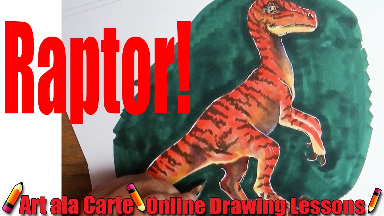 How I drew a RAPTOR for the first time - YouTube