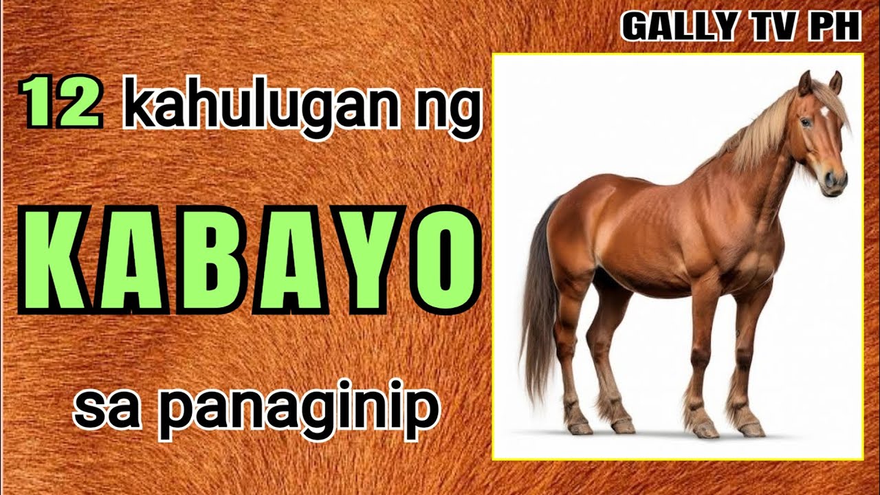 12 kahulugan ng KABAYO sa panaginip #kabayosapanaginip # ...