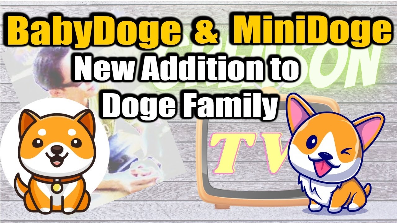 BabyDoge Coin and MiniDoge Coin | New Addition To Doge Family | Greason ...