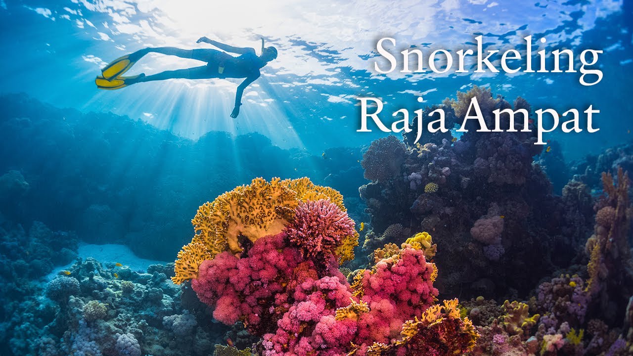 Raja Ampat Snorkeling Liveaboard Tour | Wilderness Travel - YouTube