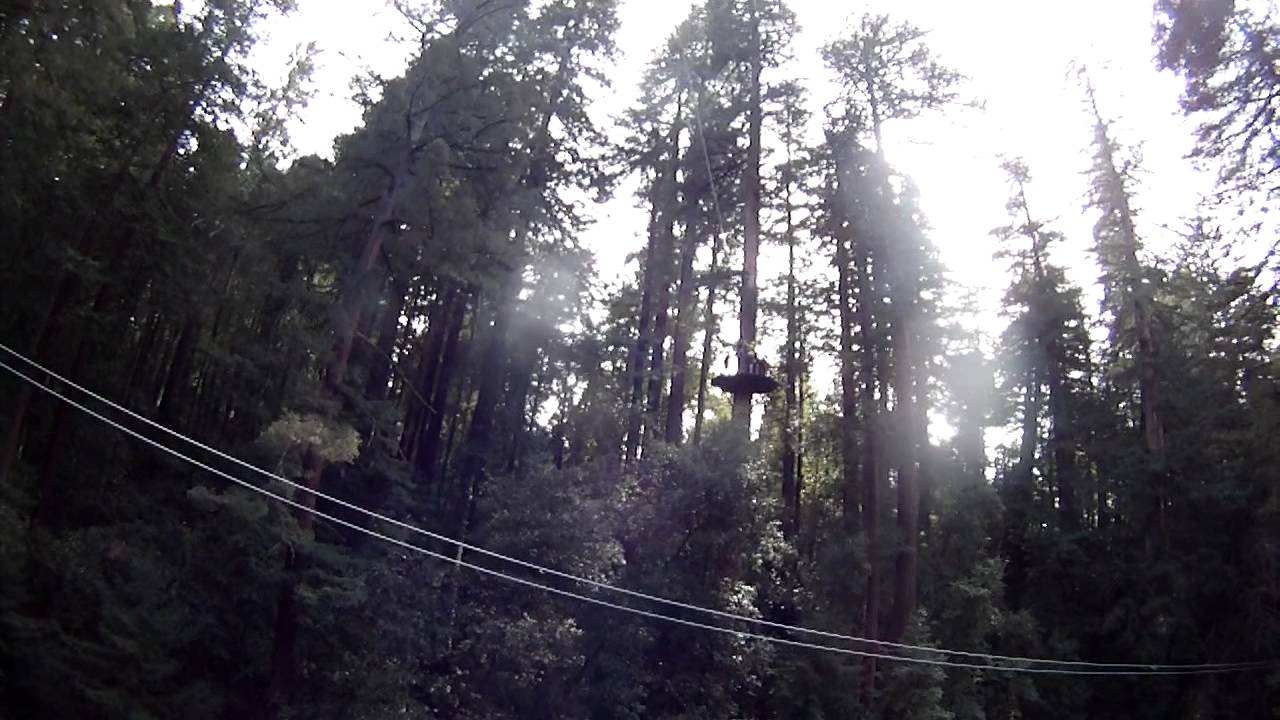 Mt Hermon Redwood Canopy Zipline Tour - big bridge - YouTube