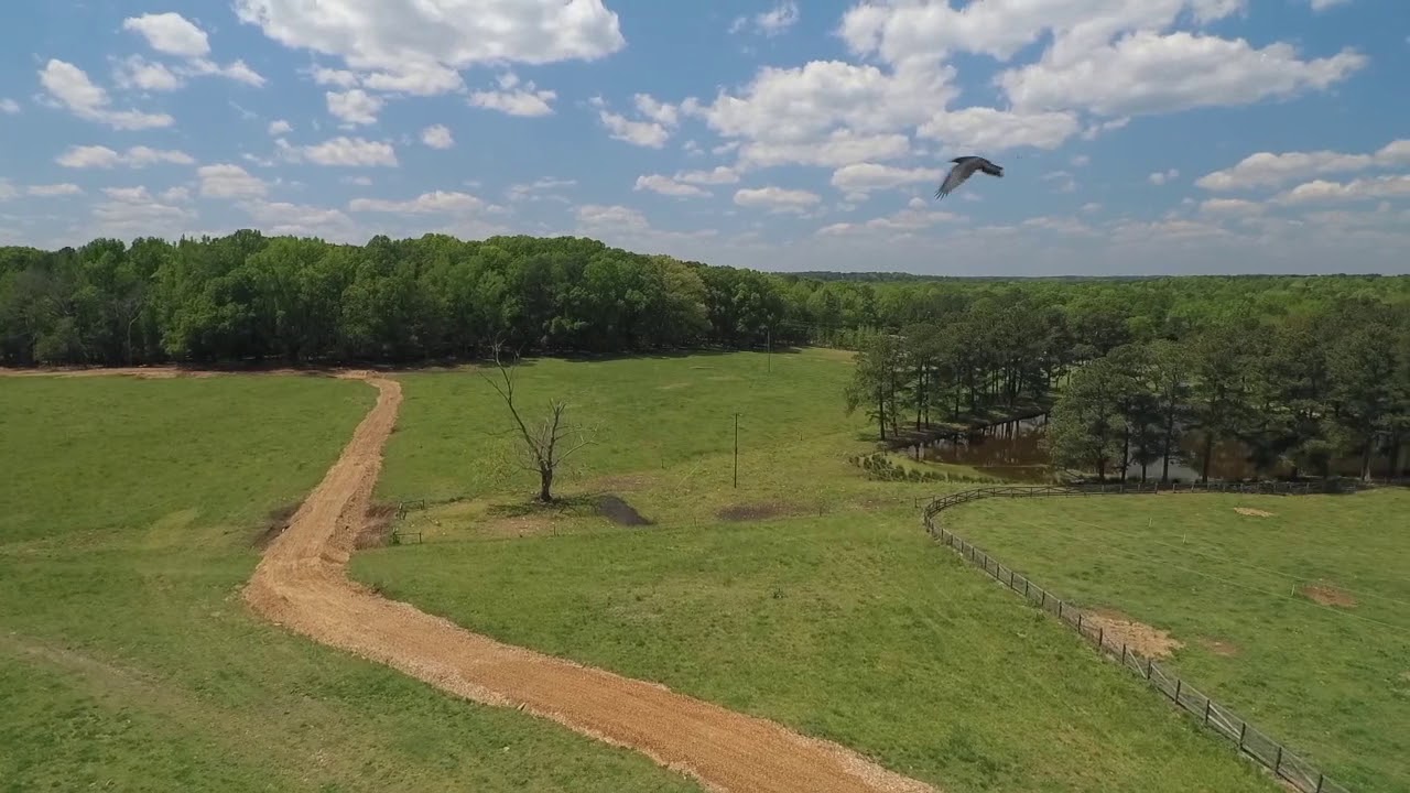 CFSA Farm Tour 2018 drone footage of Ninja Cow Farm - YouTube