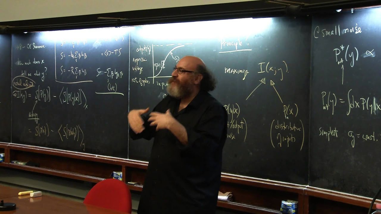 Prof. William Bialek: Living on a diet of bits - YouTube