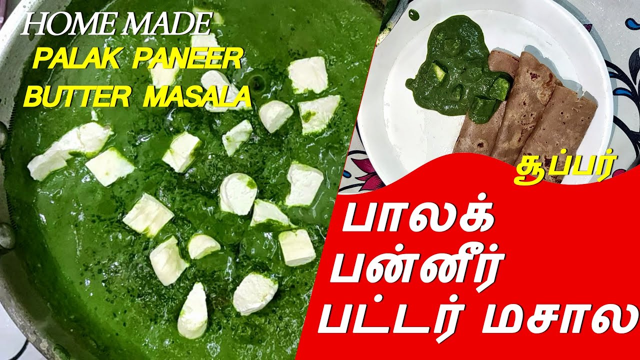 பாலக் பன்னீர் பட்டர் மசாலா PALAK PANEER BUTTER MASALA - YouTube