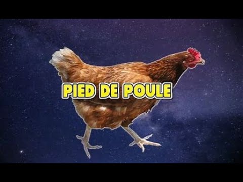 TELE CBNDF : TALON KIKIT PYE POUL ! - YouTube