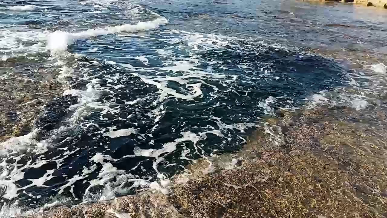 Death pool😂😮😯 - YouTube