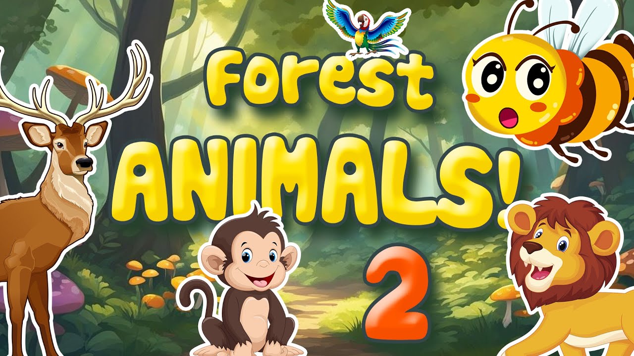 Discover Forest Animals for Kids | Fun Animal Learning for Kids - YouTube