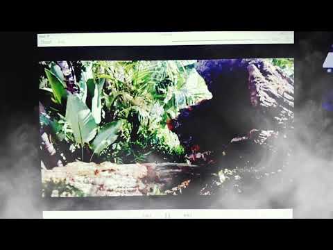Dinosaur - Playing HD