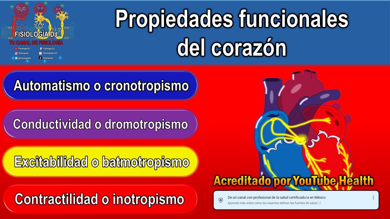 Propiedades funcionales del corazón | Cronotropismo | Dromotropiso ...
