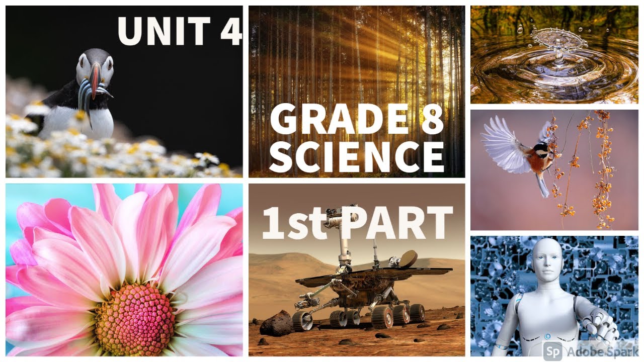 Grade 8 science Unit 4 1st part #AmazingScienceWorld | AMAZING SCIENCE ...