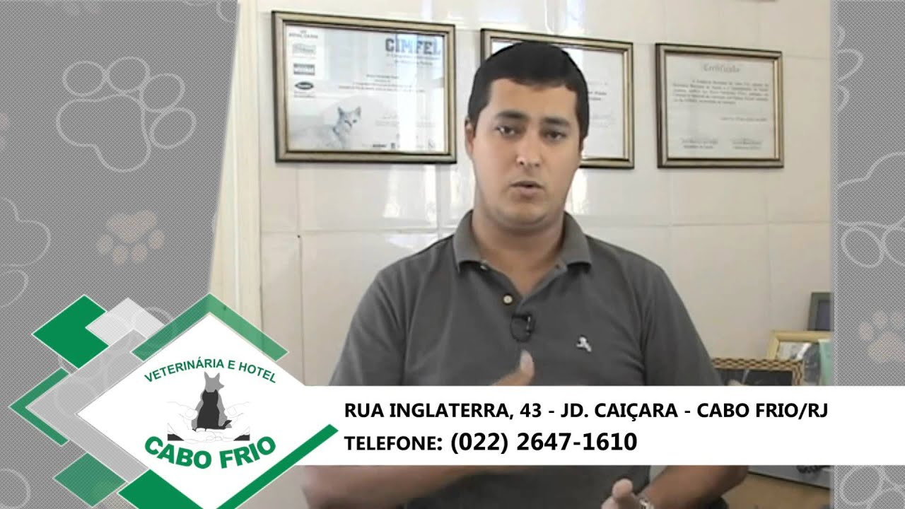 VACINAS - DICAS DO DR. BRUNO PINHO - YouTube