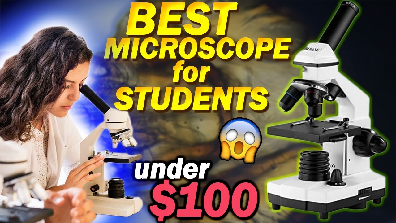 BEBANG 100X-2000X Microscope REVIEW - YouTube