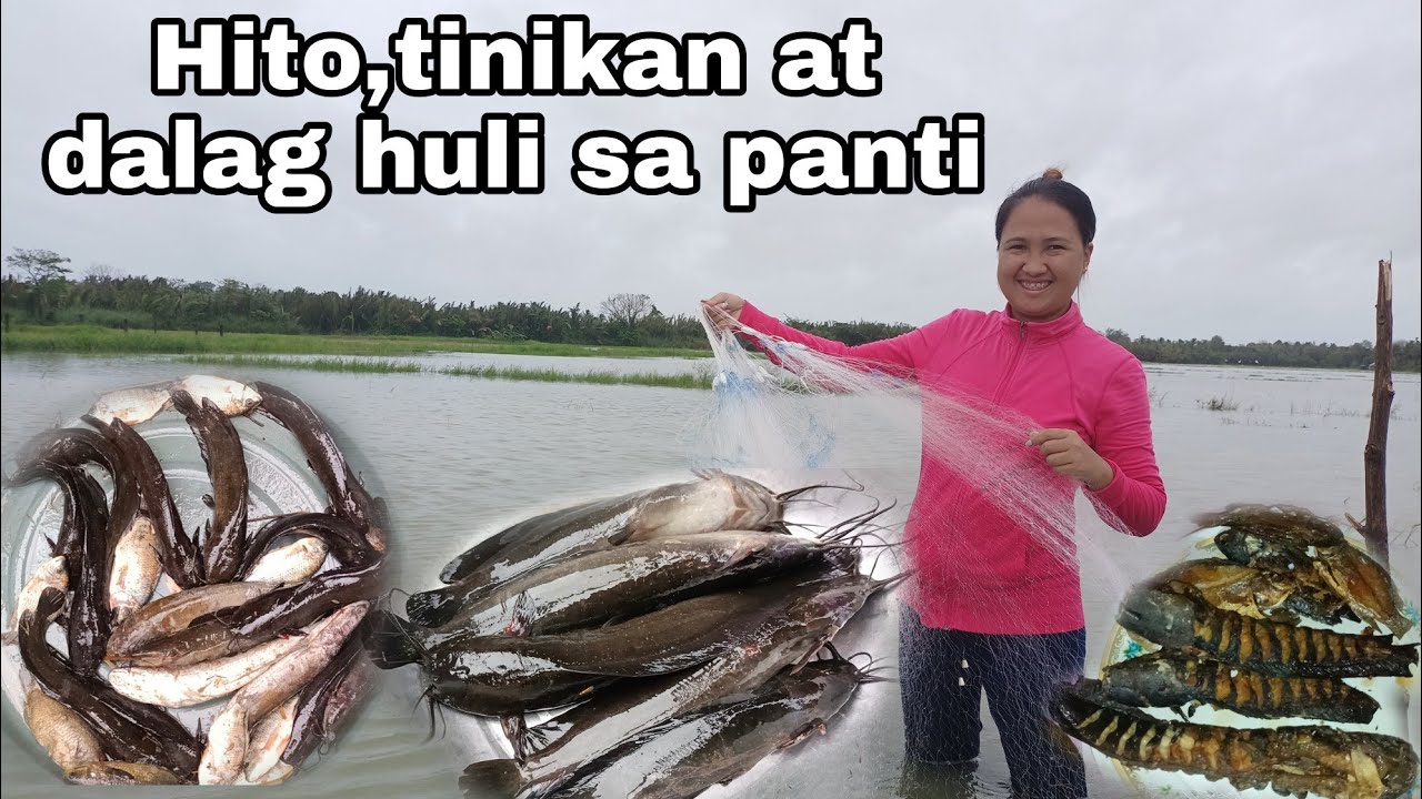 Catch&cook| Fried hito at tinikan huli sa panti/maraming isda sa ...