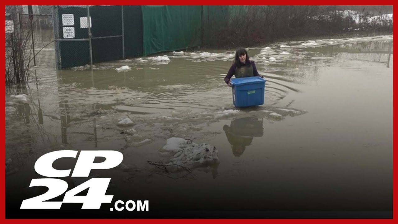Flood evacuation order lifted in Pemberton, B.C. - YouTube