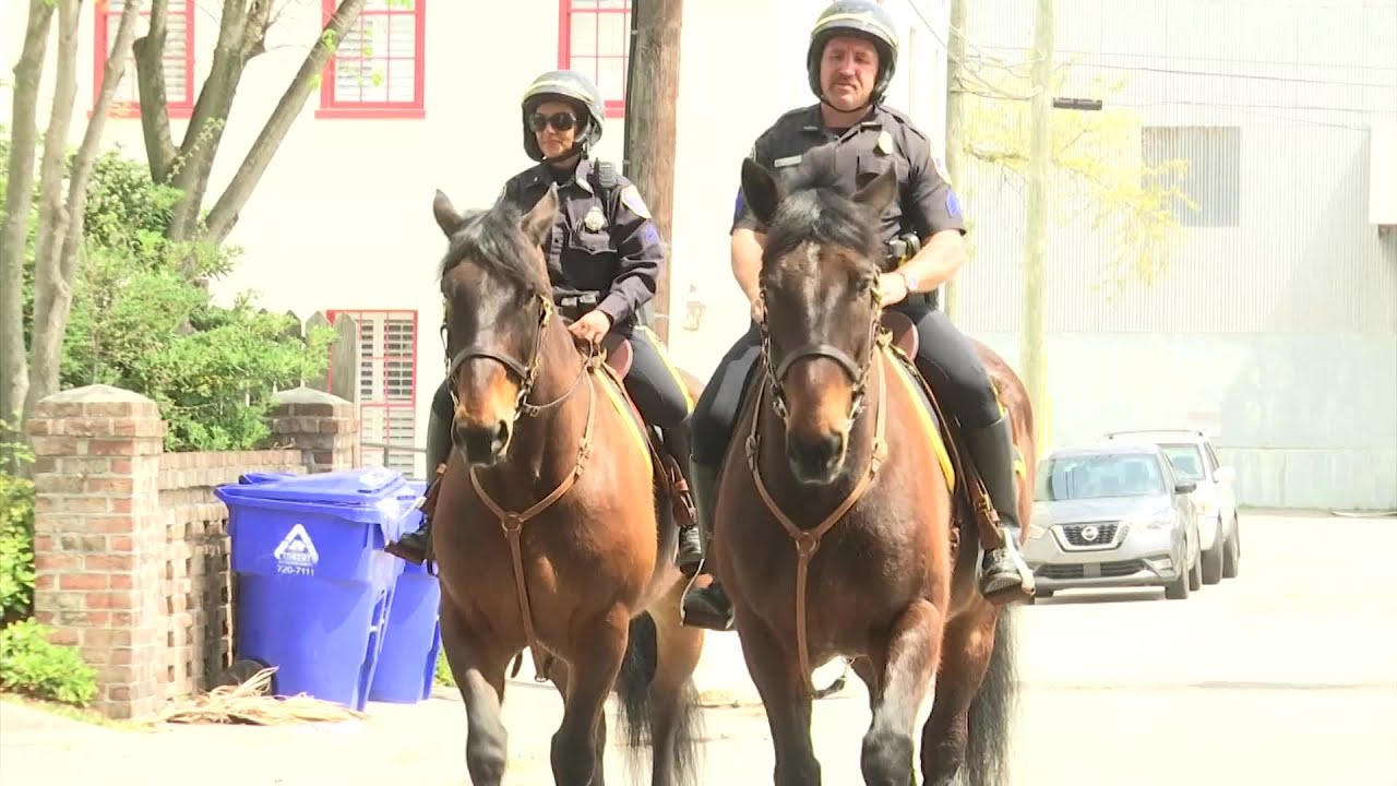 Mounted Patrol Units return to Charleston ahead of Bridge Run - YouTube