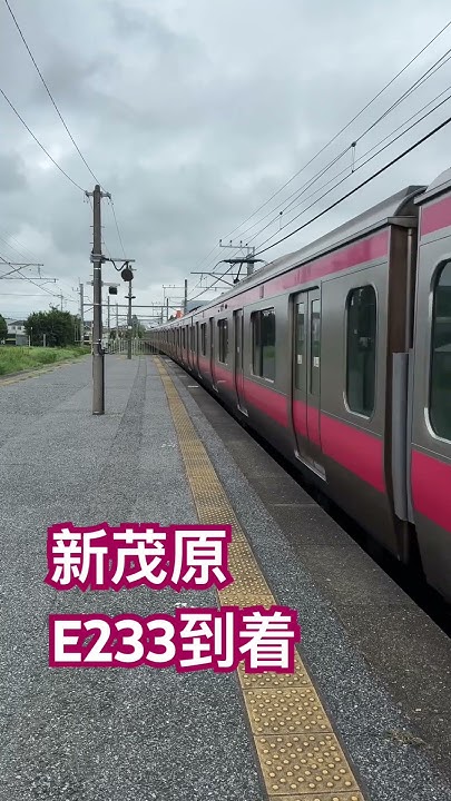 新茂原。E233。2024年8月22日 - YouTube
