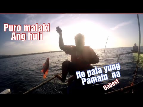 secretong pamain ng isdang maya maya - YouTube