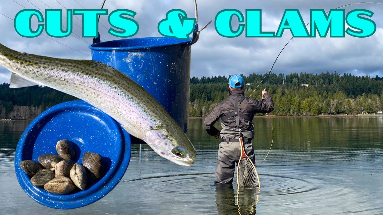 Sea run cutthroat and clams, a Puget Sound experience - YouTube