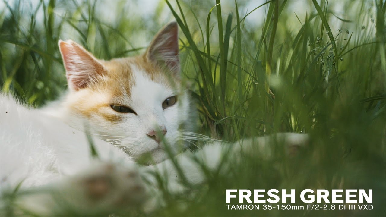 FRESH GREEN - YouTube