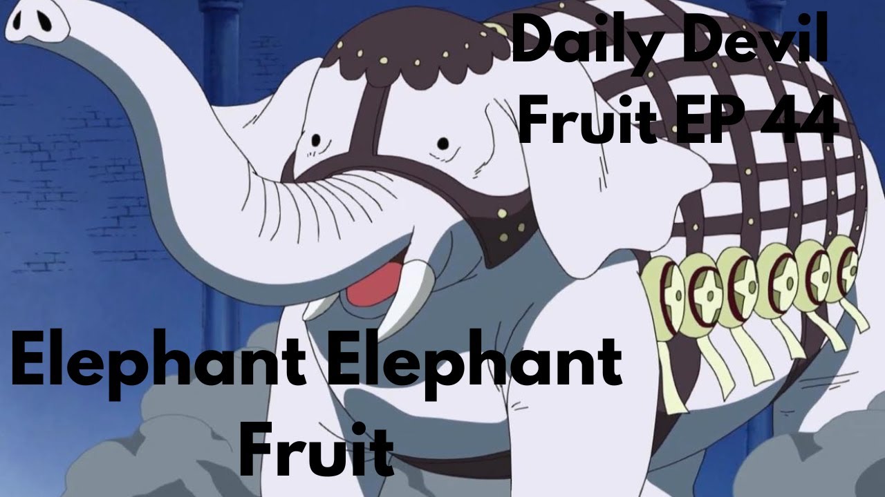 DAILY DEVIL FRUIT EP 44: ELEPHANT ELEPHANT FRUIT - YouTube