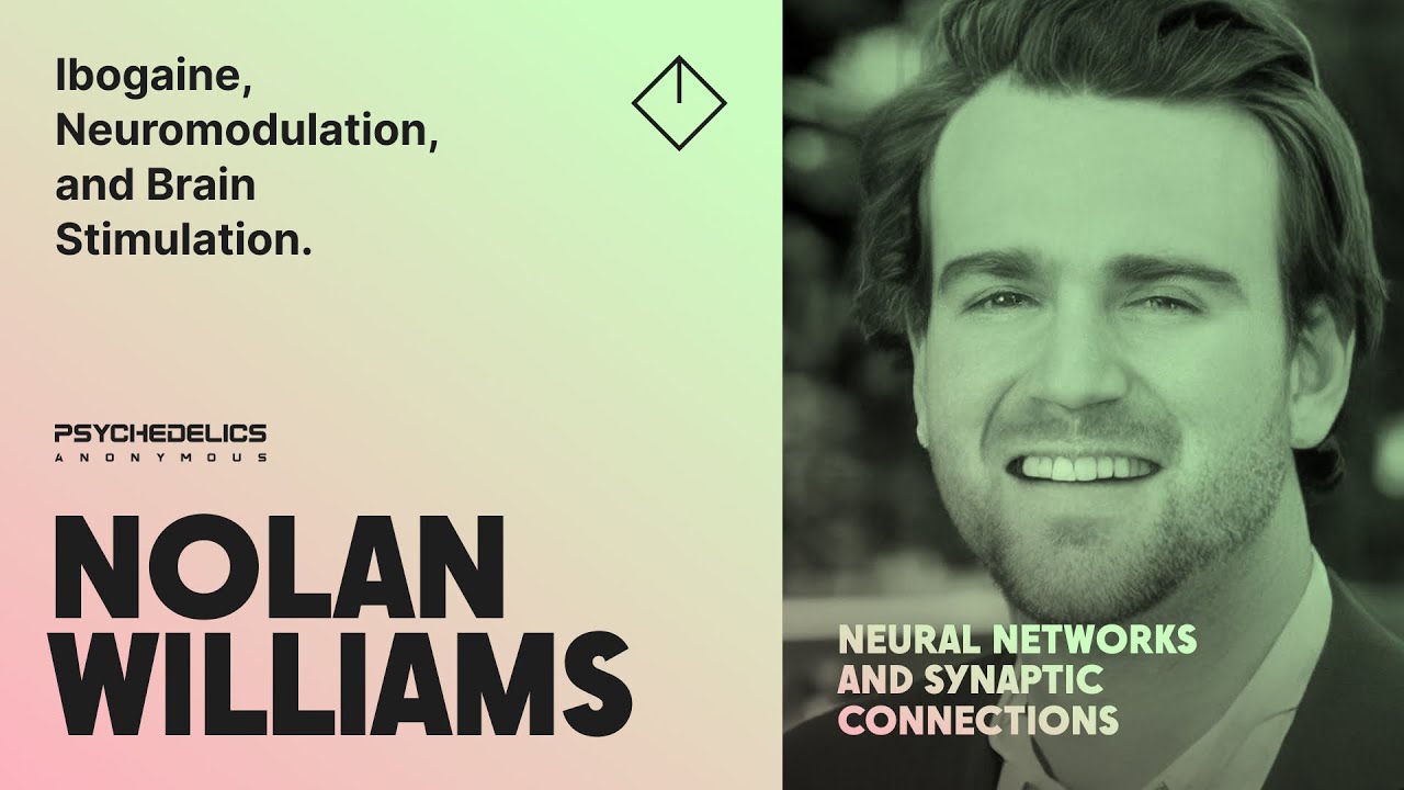 Nolan Williams: Ibogaine, Neuromodulation, and Brain Stimulation | The ...
