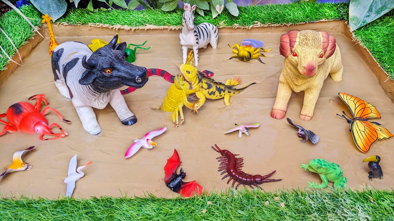 Mud Rescue Madness:💦 Farm Animals and Insects Stuck in the Sandbox ...