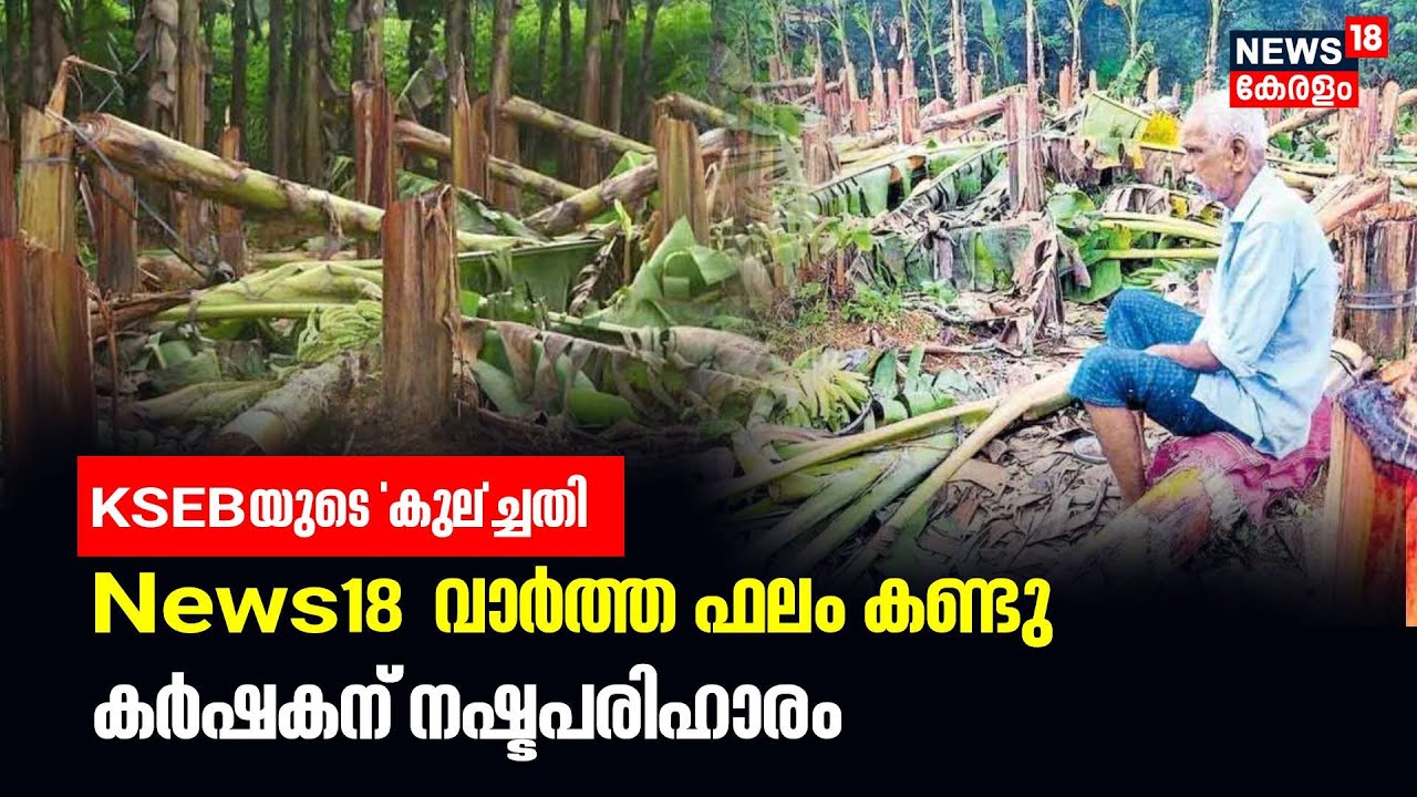 KSEB വാഴകൾ നശിപ്പിച്ച സംഭവം ; News18 വാർത്തയിലൂടെ നടത്തിയ ഇടപെടലിൽ ക ...