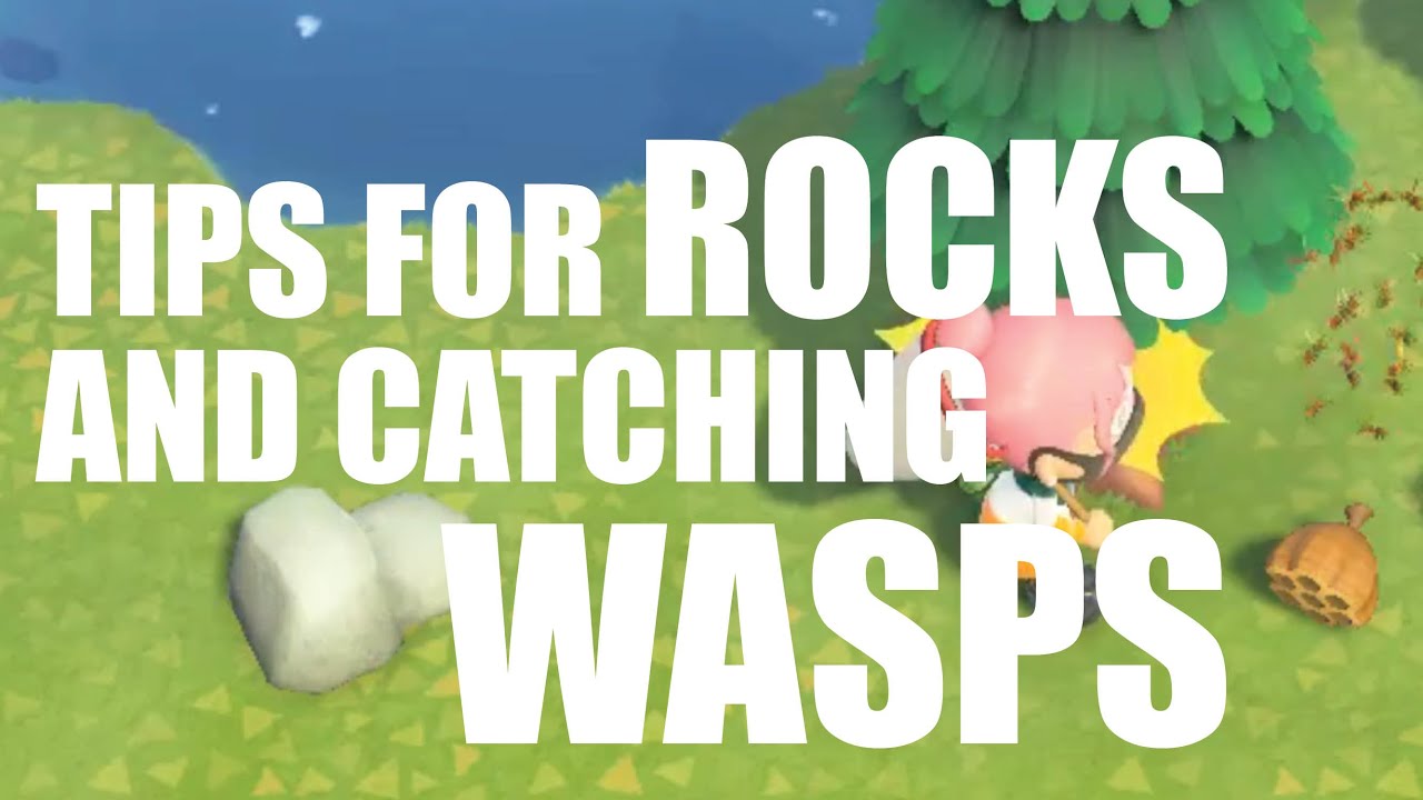 ACNH - Tips for ROCKS and catching WASPS - YouTube