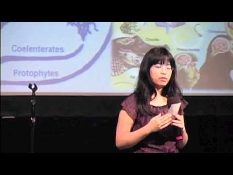 Three Minute Thesis Elsa Ming Yeung - YouTube