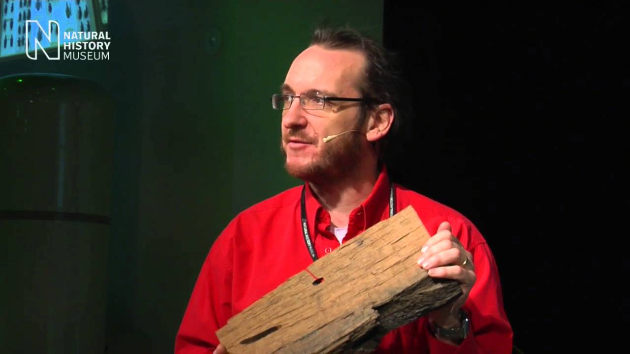 Max Barclay at Natural History Museum, Nature Live show 29th November ...