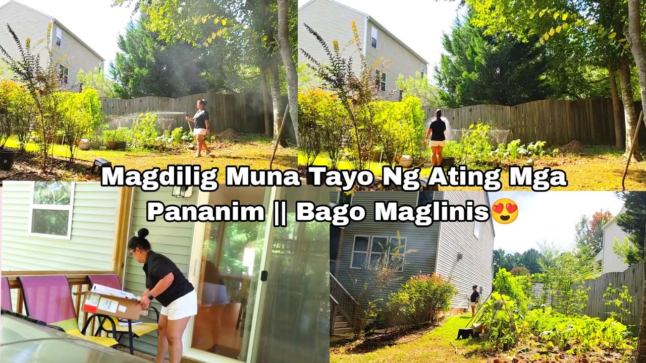 Magdilig Muna Tayo Nang Ating Mga Pananim || Bago Maglinis😍 - YouTube