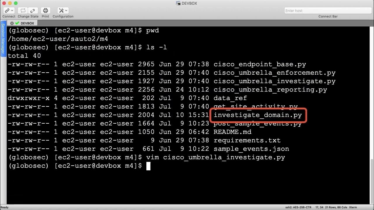 Pluralsight Sample - Demo: Exploring Domains in Detail Using the Investigate API - YouTube