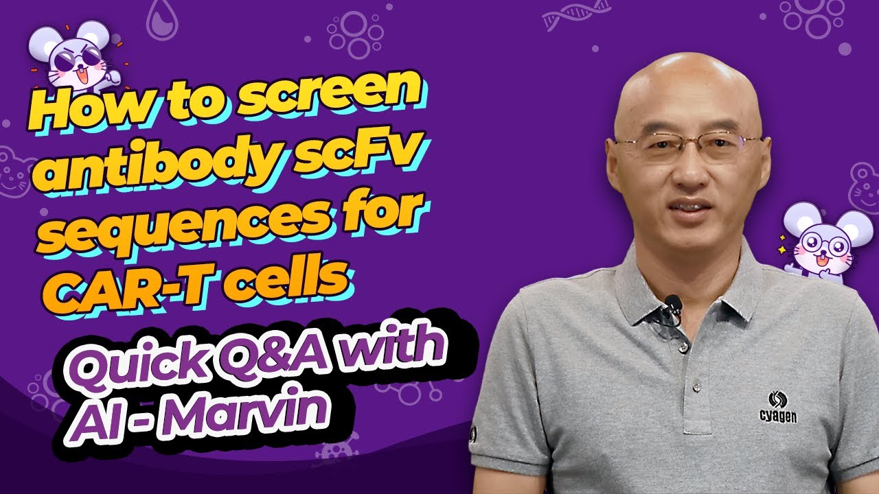 Quick Q&A with AI Marvin｜How to screen antibody scFv sequences for CAR ...