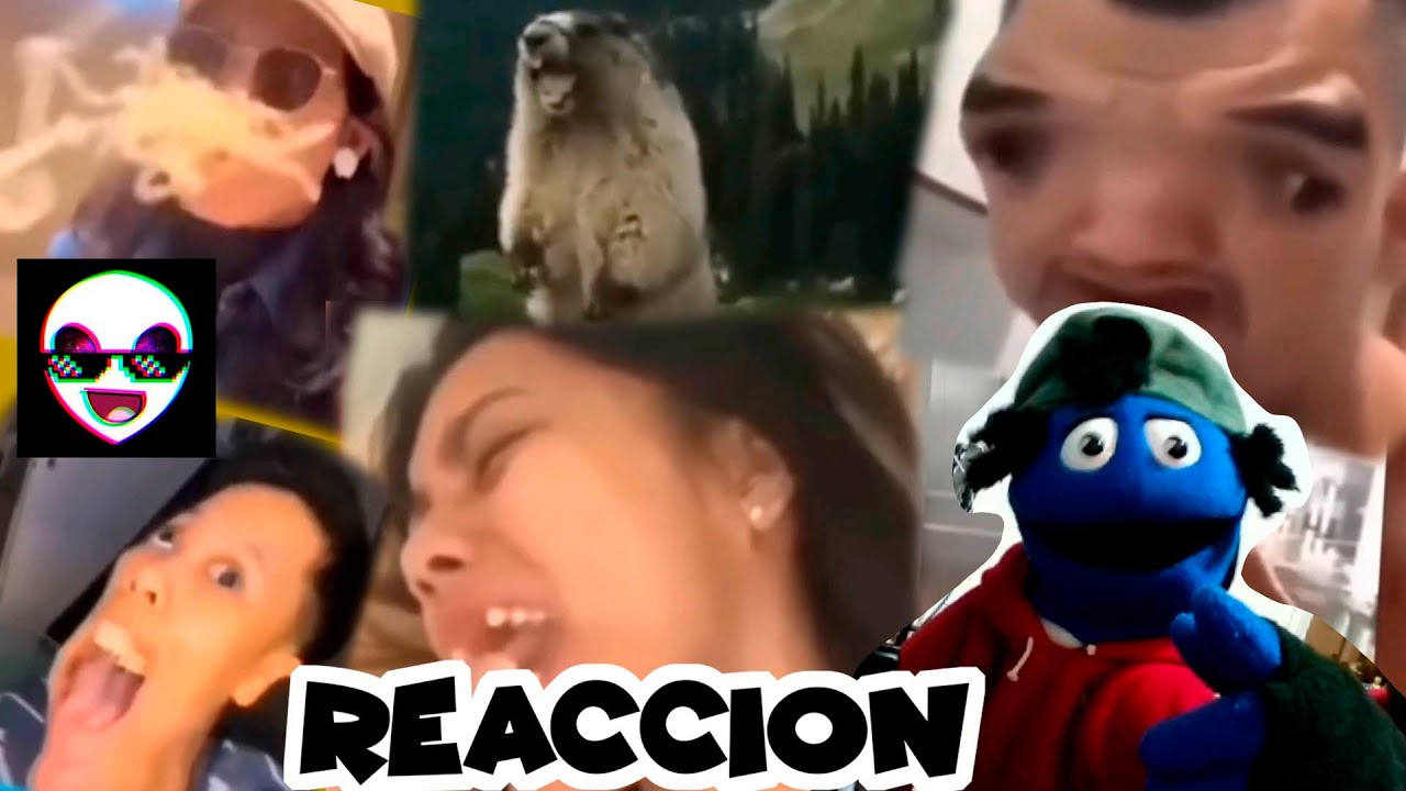 Los VIDEOS RANDOM, DE MEMER XD (RECOPILACIÓN), LOGRO SU 1M FELICIDADES ...