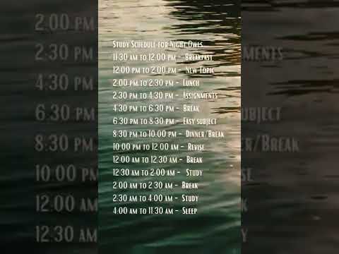 Study Schedule for Night Owls| How to study at Night?|Night study time ...