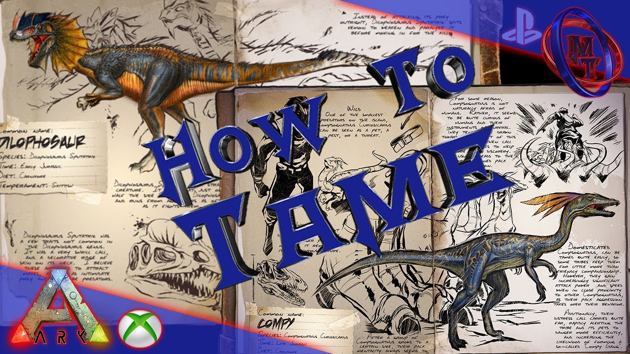 Ark Survival Evolved How To Tame Compy & Dilo - YouTube