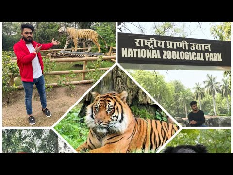 Delhi zoo vlog🥵 दिल्ली का चिड़ियाघर [Nikhil shamyani] #delhizoo #chiriyaghar #shamyani