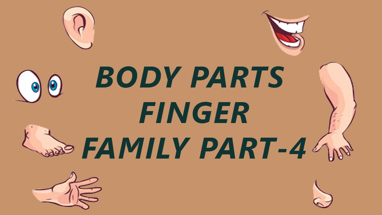 Body Parts Finger Family - 4 | Learn Human Body Parts - YouTube