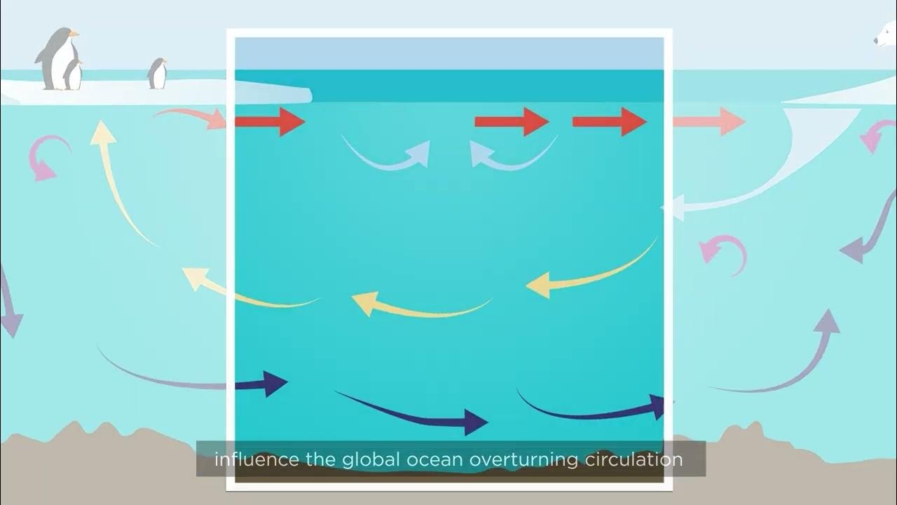 The role of the ocean in the climate system - YouTube