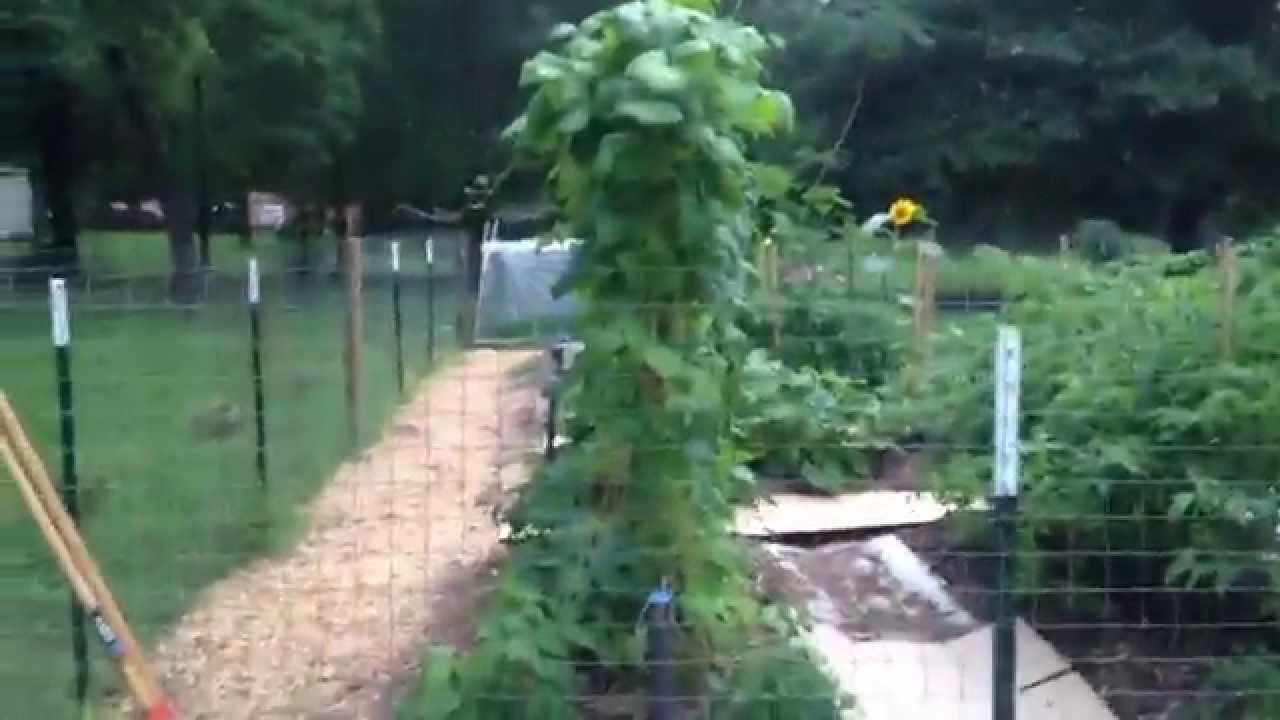 Three years of work on this garden. Decomposed wood hip delivered by ...