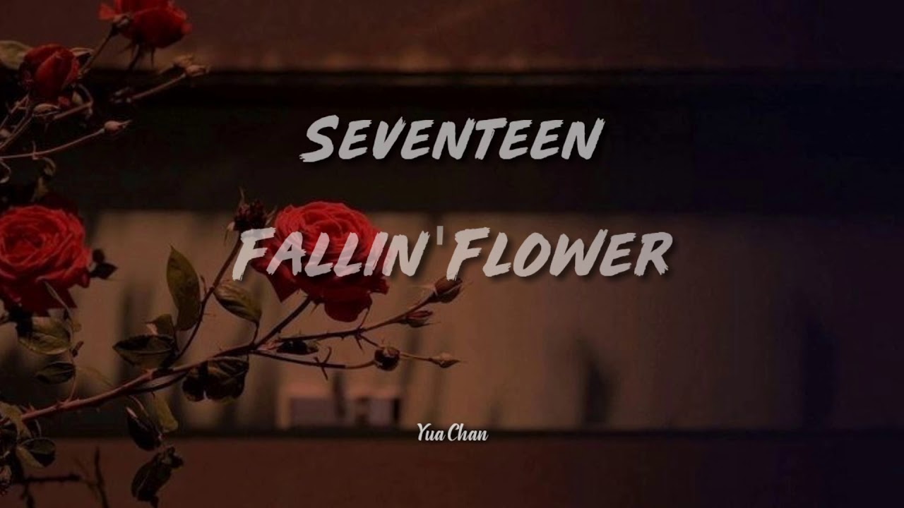 SEVENTEEN - Fallin' Flower lirik terjemahan Indonesia I Sub Indo - YouTube